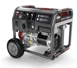 Briggs & Stratton® 8,000 Running 10,000 Starting Watt Dual-Fuel ...