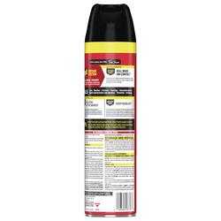 Raid® Unscented Aerosol Ant & Roach Killer - 20 oz. at Menards®