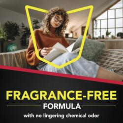 Raid® Unscented Aerosol Ant & Roach Killer - 20 oz. at Menards®