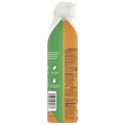 STEM Aerosol Wasp & Hornet Killer - 10 oz. at Menards®