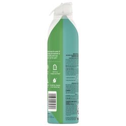 STEM Flying Insect Killer Aerosol - 10 oz. at Menards®