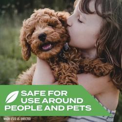 STEM Aerosol Wasp & Hornet Killer - 10 oz. at Menards®