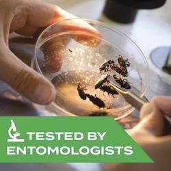 STEM Flying Insect Killer Aerosol - 10 oz. at Menards®