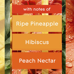 Glade® PlugIns® Hawaiian Breeze® Plug-In Air Freshener Refill - 5 Count ...