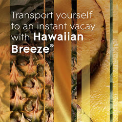 Glade® PlugIns® Hawaiian Breeze® Plug-In Air Freshener Refill - 5 Count ...