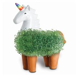 Chia Pet® Unicorn Chia Grow Kit at Menards®