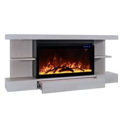 Paramount 48" Sophisticated Grey Wood Grain Electric Fireplace with ...