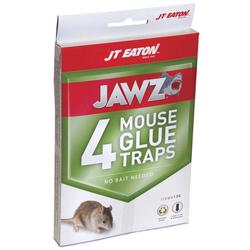 Jawz™ Disposable Mouse Glue Traps - 4 Pack at Menards®