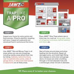 Jawz™ Mouse Trap - 6 Pack at Menards®