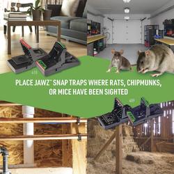 Jawz™ Rat & Chipmunk Trap - 6 Pack at Menards®