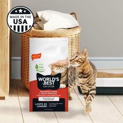 World's Best Cat Litter™ Multiple Cat Clumping Cat Litter - 15 lbs at ...