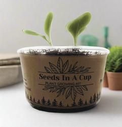 Seeds In A Cup® Oak Tree Seed Starter Indoor/Outdoor Grow Kit at Menards®