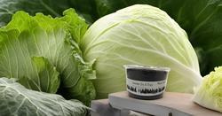 Cabbage Plant Growing Kit at Menards®