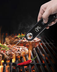Backyard Creations® IR Probe Grilling Thermometer at Menards®
