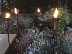 TIKI® Brand 65" Island King Large Flame Patio Torch at Menards®