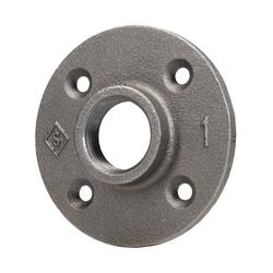 STZ Industries® 1" FIP Black Pipe Floor Flange at Menards®