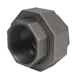 STZ Industries® 2" Black Pipe Union at Menards®