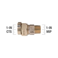 Legend Valve™ 1" CTS Pack Joint x 1" MIP Brass Fitting at Menards®