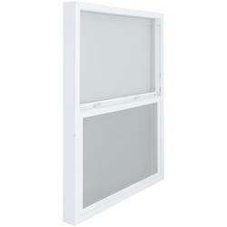 Performax™ 36-1/4"W x 46"H White Vinyl Single-Hung Replacement Window ...