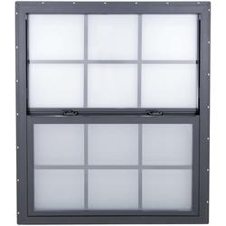 Performax™ 36"W x 42"H Black Vinyl Single-Hung Window with Nailing ...