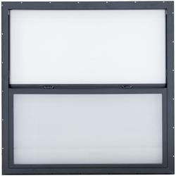 Performax™ 48"W x 48"H Black Vinyl Single-Hung Window with Nailing ...