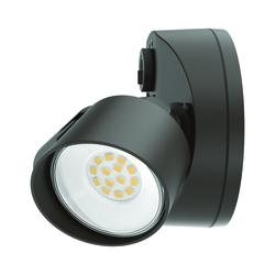 Lithonia Lighting® Dark Bronze LED Dual Head Dusk-to-Dawn Outdoor ...