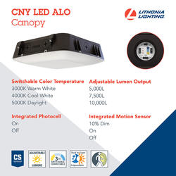 Lithonia Lighting Gloss Bronze Motion Sensing Outdoor Security Light at ...