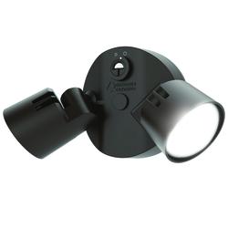 Lithonia Lighting® Dark Bronze LED Dual Head Dusk-to-Dawn Outdoor ...