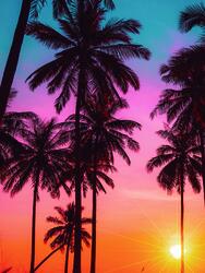 24" x 18" Canvas Wall Art - Assorted Styles at Menards®