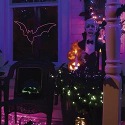 Pumpkin Hollow™ 25-1/2" Bat Neon Rope Sign at Menards®