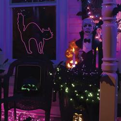 Pumpkin Hollow™ Cat Neon Rope Sign at Menards®