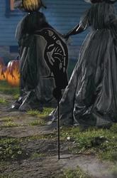 Pumpkin Hollow™ 35-3/4" LED Solar Raven Yard Stake at Menards®