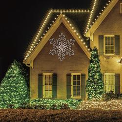 Enchanted Forest® 3' LED Neon Rope Light Snowflake - Assorted Colors at ...