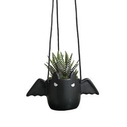 LiveTrends® Drac Bat House Plant at Menards®