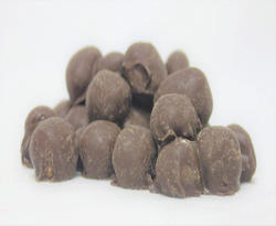 Old Mill™ Dark Chocolate Peanuts - 16 oz at Menards®
