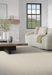 Looptex Mills® Radiance Mist Plush Carpet 12 ft wide at Menards®
