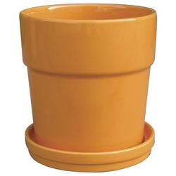 2" Glazed Ceramic Planter- Assorted Colors at Menards®