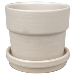 5" Ceramic Matte Planter - Assorted Colors at Menards®