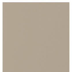 LP® SmartSide® 3/8 x 16 x 16' Brushed Smooth Vertical Siding at Menards®