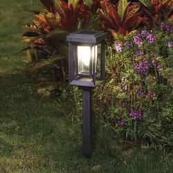 Patriot Lighting® Ambrose Solar LED Path Landscape Light - 4 Pack at ...
