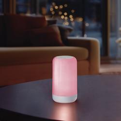 Portable Color Changing Table Lamp at Menards®