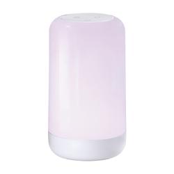 Portable Color Changing Table Lamp at Menards®