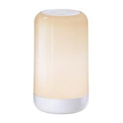 Portable Color Changing Table Lamp at Menards®