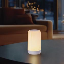 Portable Color Changing Table Lamp at Menards®