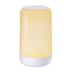 Portable Color Changing Table Lamp at Menards®