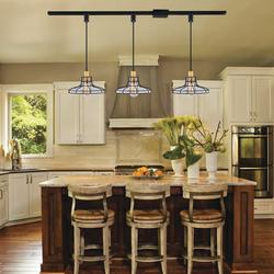 Patriot Lighting® Robert Black 1-Light Track Lighting Pendant at Menards®