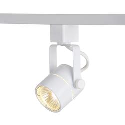 Quantus™ Pinhole 1-Light White Track Lighting Head at Menards®