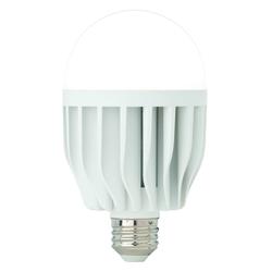 60 Watt Equivalent E26 Daylight Bug Zapper LED Light Bulb at Menards®