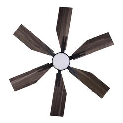 Patriot Lighting® Athens 44" Black Indoor LED Ceiling Fan with Remote ...
