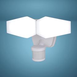 Patriot Lighting® Dualux White LED Dual Head Motion Sensor Synchronize ...